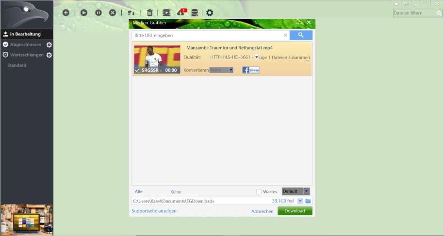 EagleGet - pctipp.ch